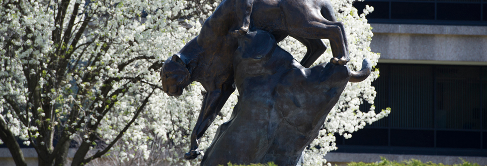 Southern Illinois University System