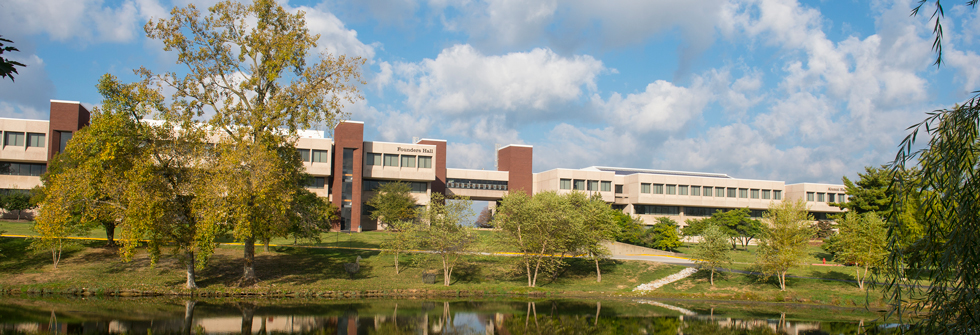 Southern Illinois University System