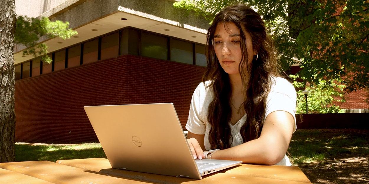 SIU System Online Course Exchange - Overview